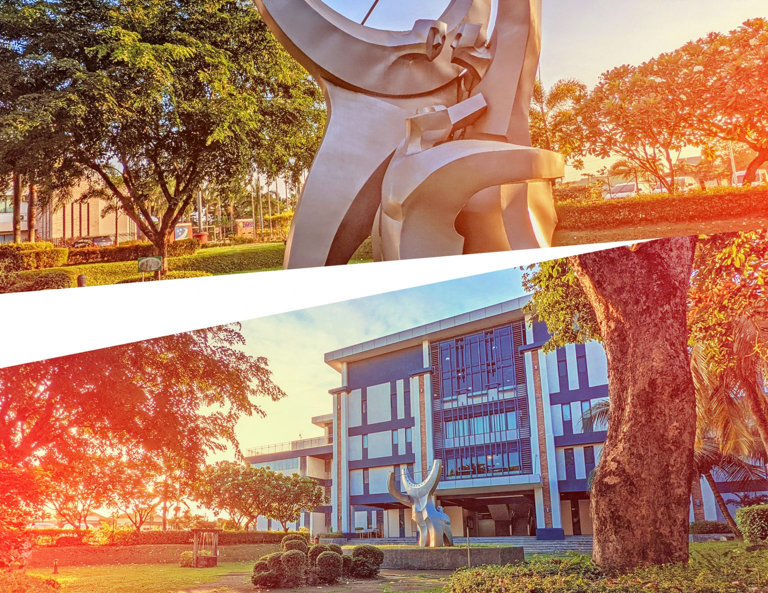 12 Things about the FAITH Colleges campus – The Sentinel